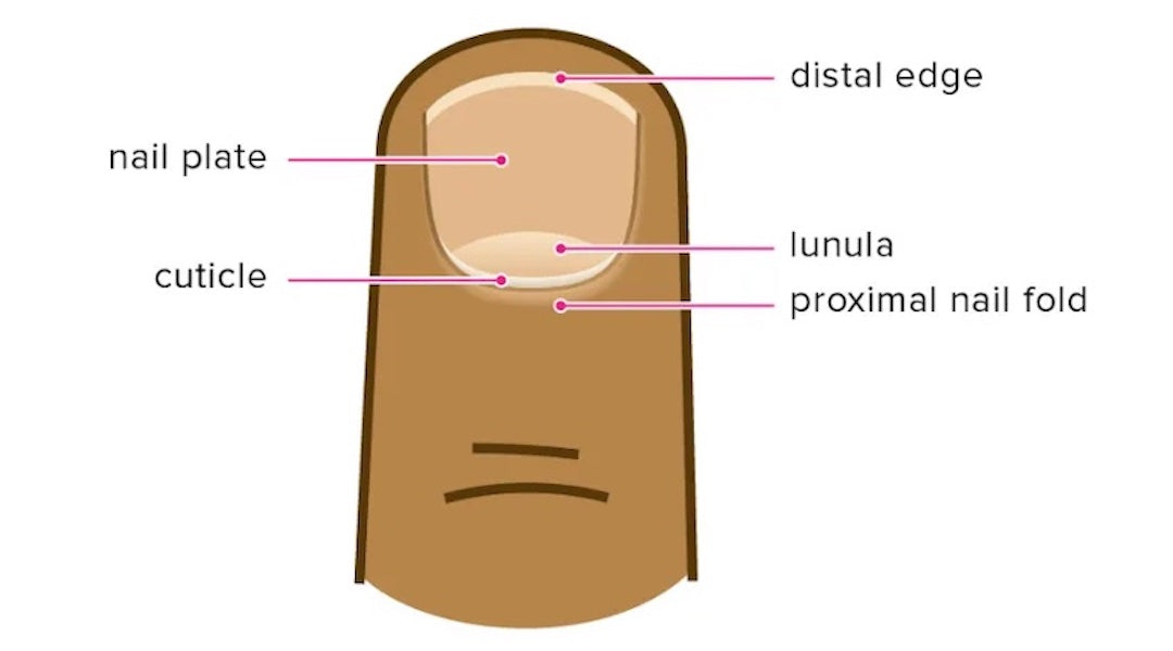 How to Make Your Cuticles Healthier – Daline Nails